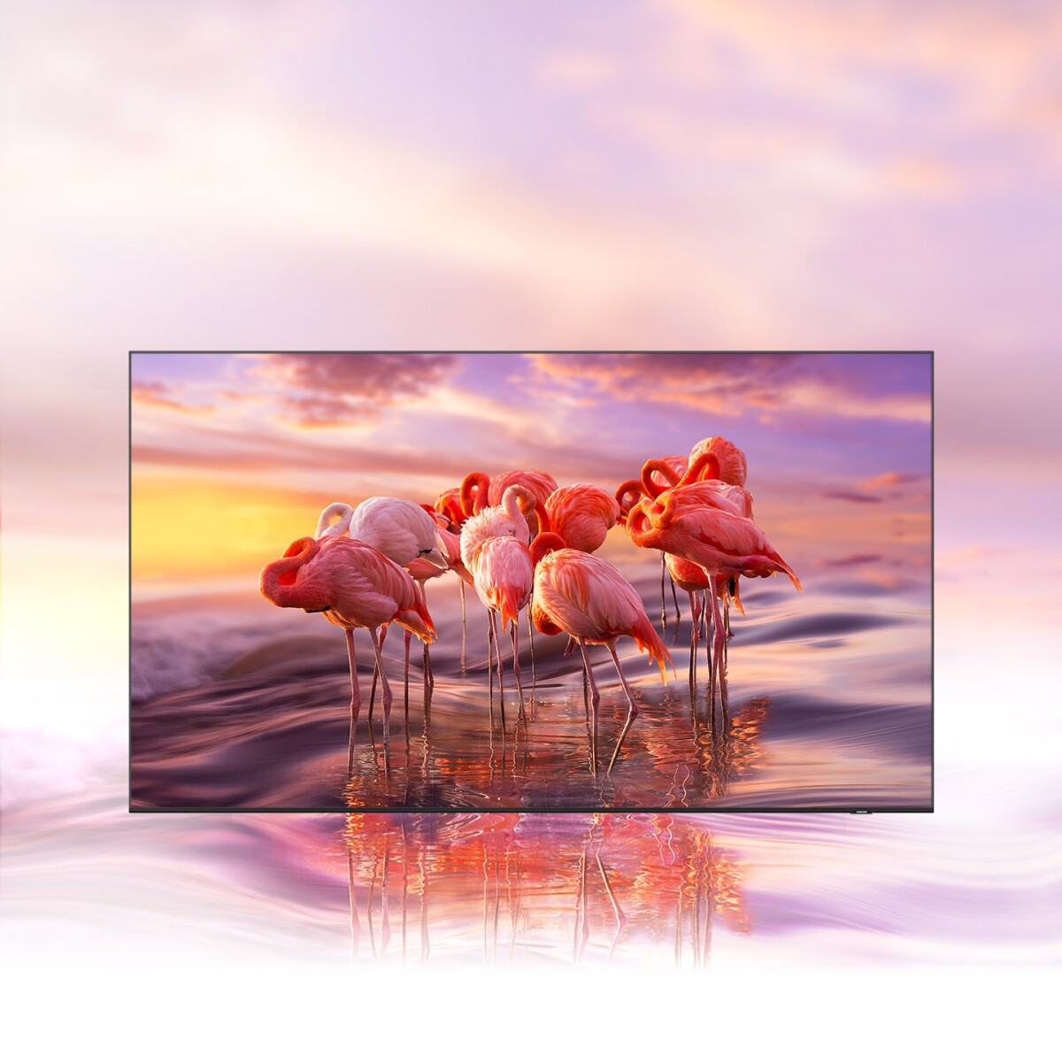Samsung 65 inch Q65A QLED 4K Smart TV QA 65Q65AB samsung-65-inch-q65a-qled-4k-smart-tv-qa-65q65ab