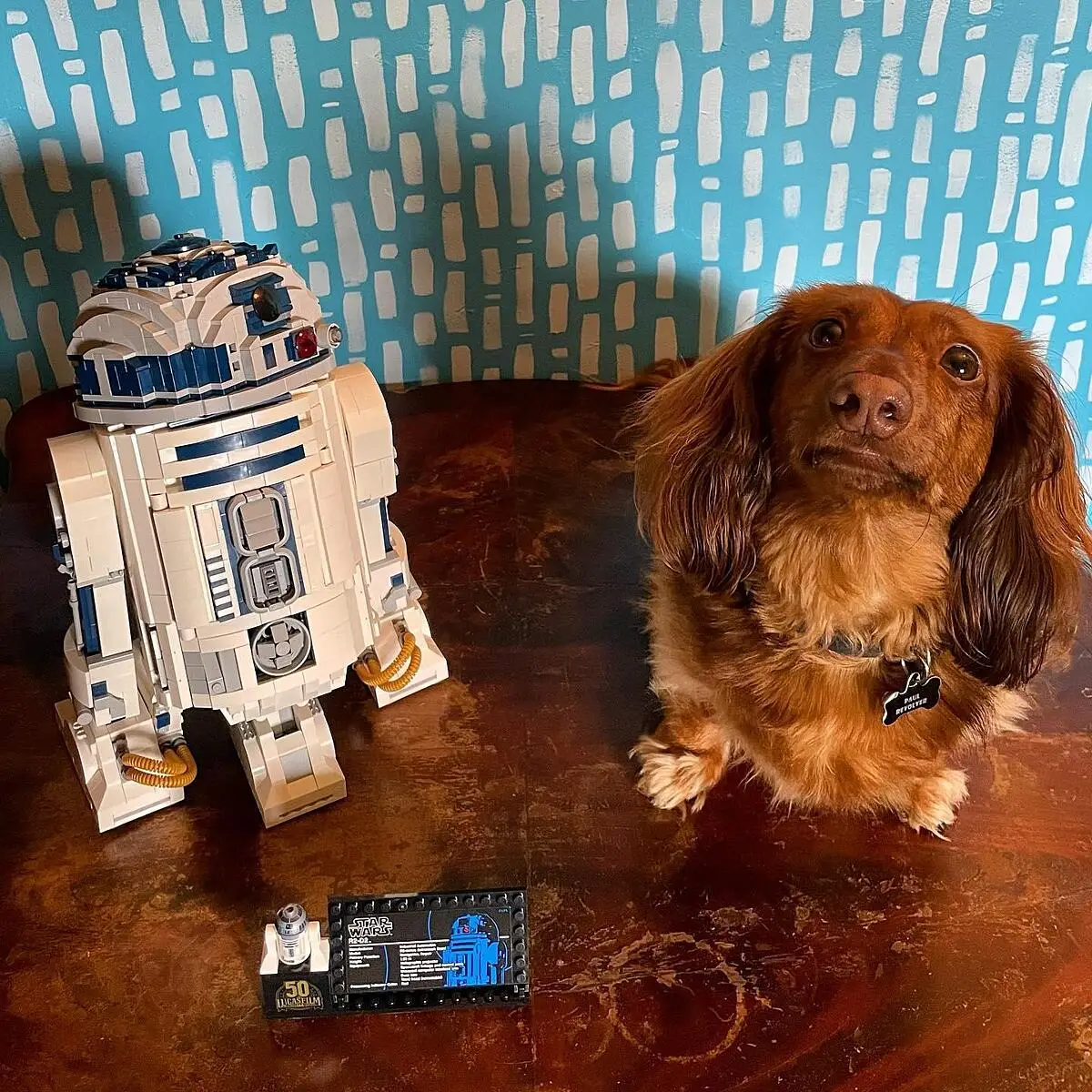 Buy the LEGO® R2-D2™ 75308 Set for Adults | Official LEGO® AE