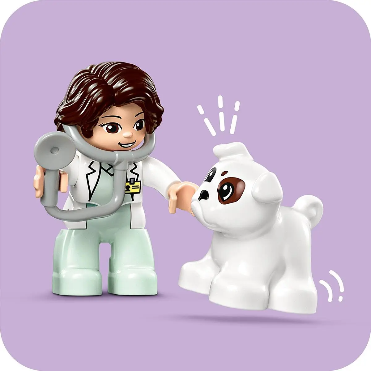 Buy LEGO® Visit to the Vet Clinic 10438 | Official LEGO® KW